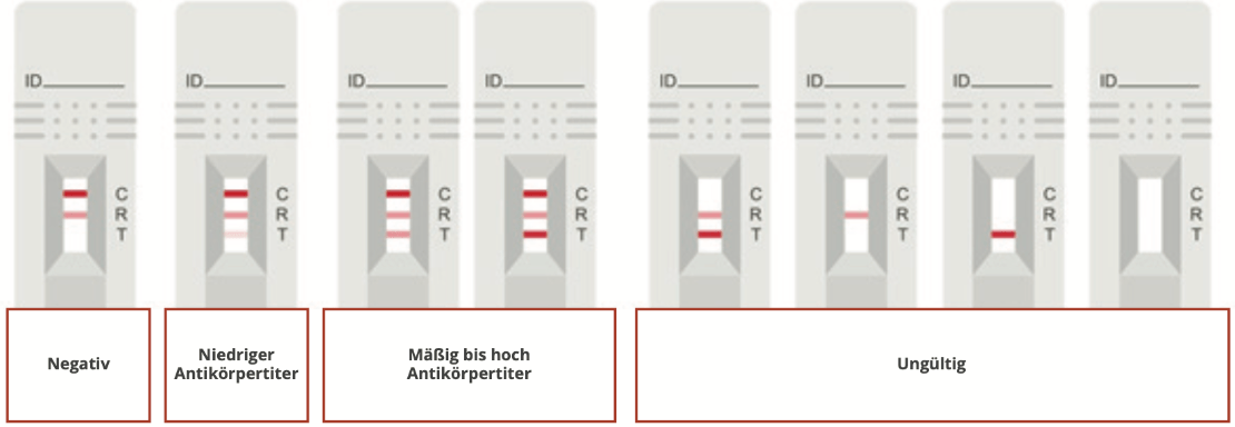 Boson Antikörpertest – Icon Medlab